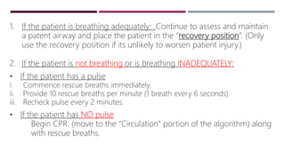 BASIC LIFE SUPPORT (BLS) | PPTX