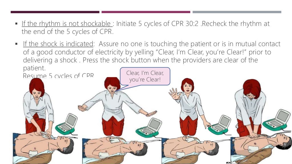 BASIC LIFE SUPPORT (BLS)