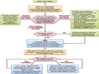 Basic life support | PPTX
