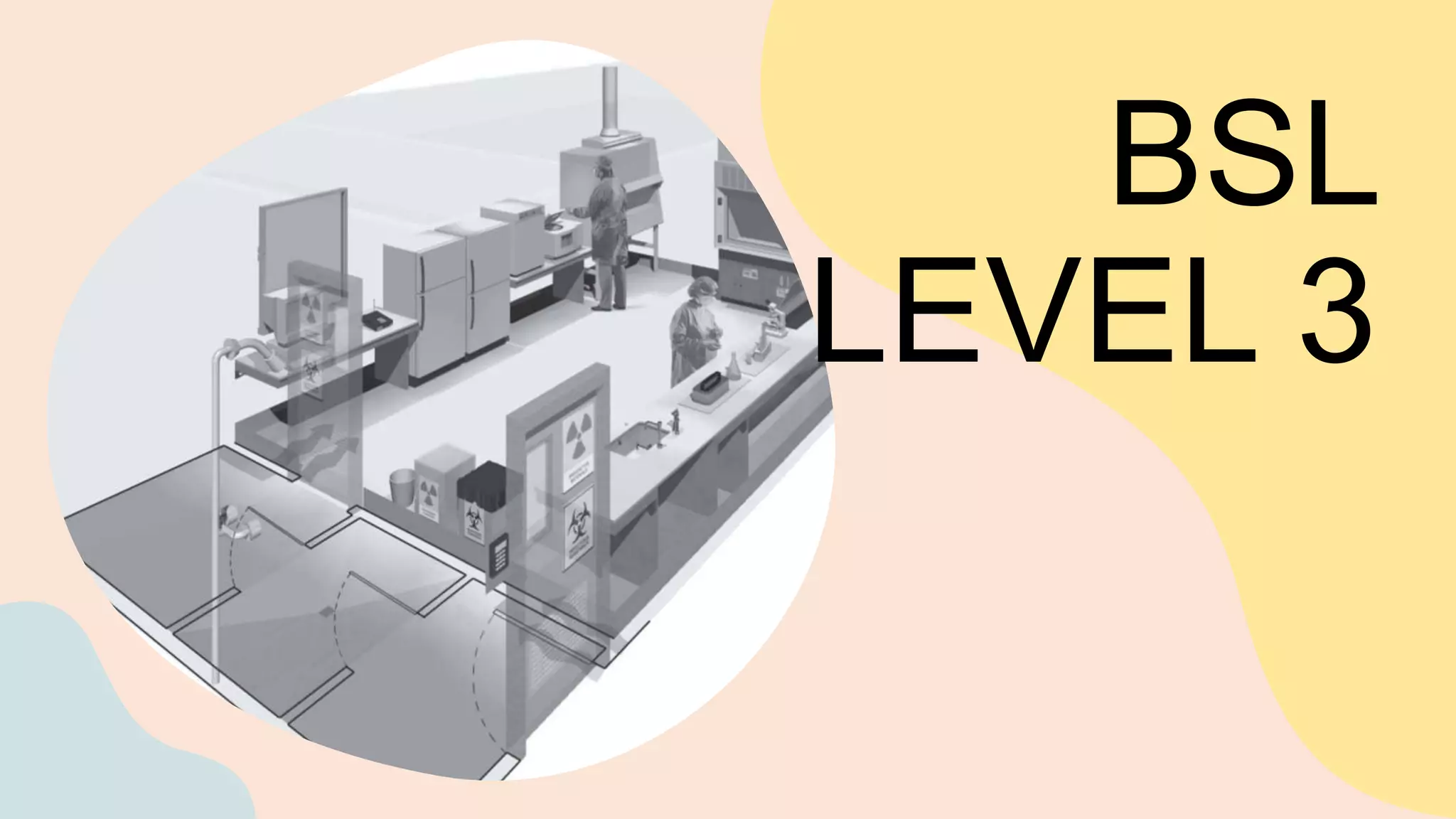 BIOSAFETY LEVEL BY WHO (BSL 1 , BSL 2 , BSL 3 , BSL 4 ) - BIOSAFETY ...