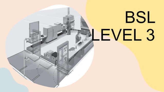 BIOSAFETY LEVEL BY WHO (BSL 1 , BSL 2 , BSL 3 , BSL 4 ) - BIOSAFETY ...