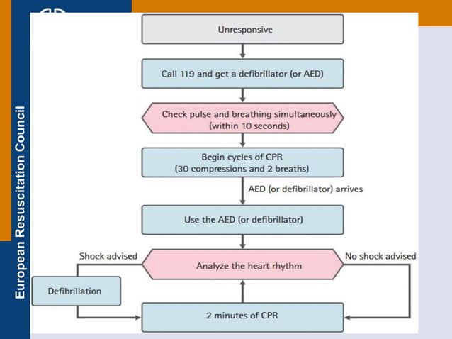BASIC LIFE SUPPORT | PPT | First Aid | Injuries