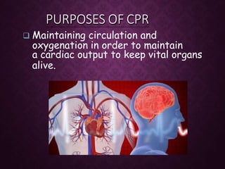 Basic Life Support | PPTX