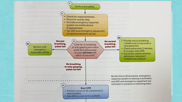 Basic Life Support - AHA guidelines and update | PDF