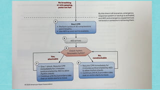 Basic Life Support - AHA guidelines and update | PDF