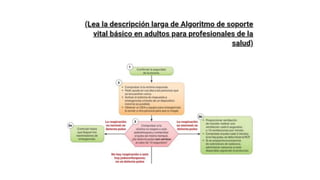 BLS- ACLS nueva actualizacion documento actualizado al momento | PDF