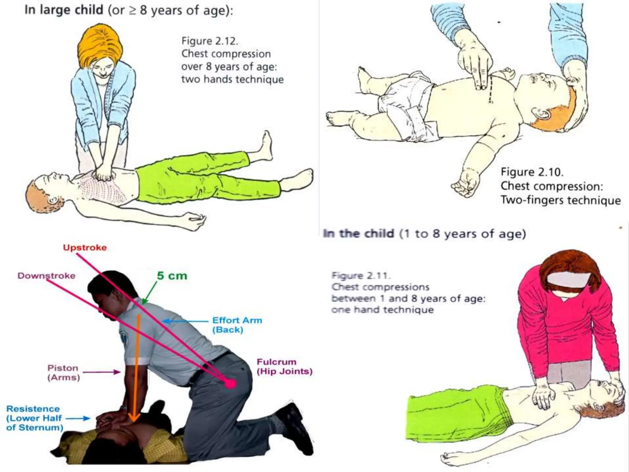 BLS - RJP.ppt
