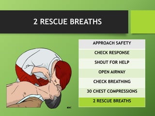 BASIC LIFE SUPPORT - DR. ANVITA BHARGAVA | PPTX