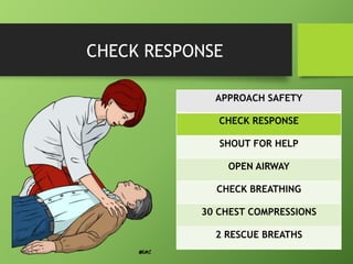 BASIC LIFE SUPPORT - DR. ANVITA BHARGAVA | PPTX