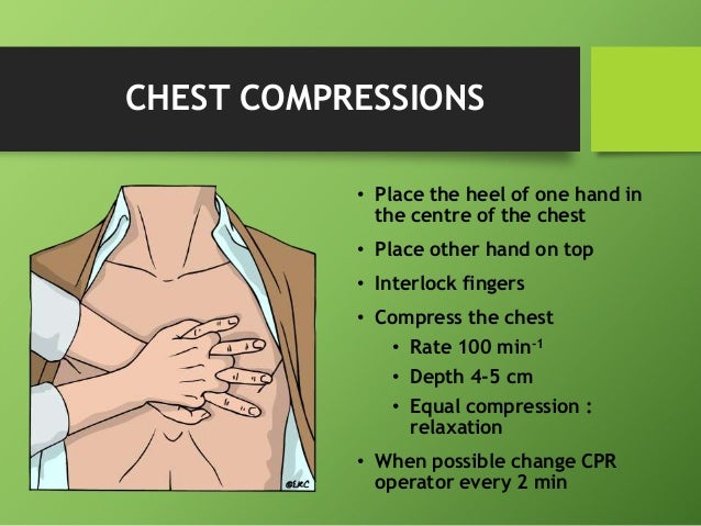BASIC LIFE SUPPORT - DR. ANVITA BHARGAVA
