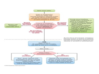 bls (1).pptx