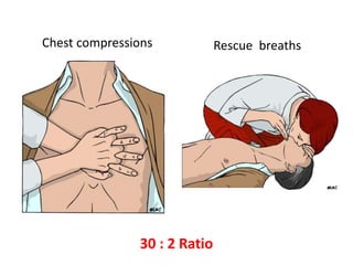 bls (1).pptx