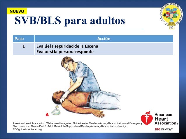 Aspectos destacados BLS 2015