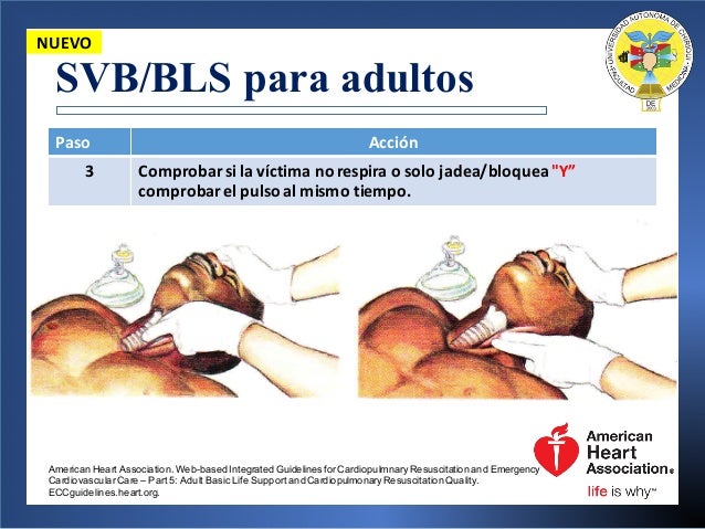 Aspectos destacados BLS 2015