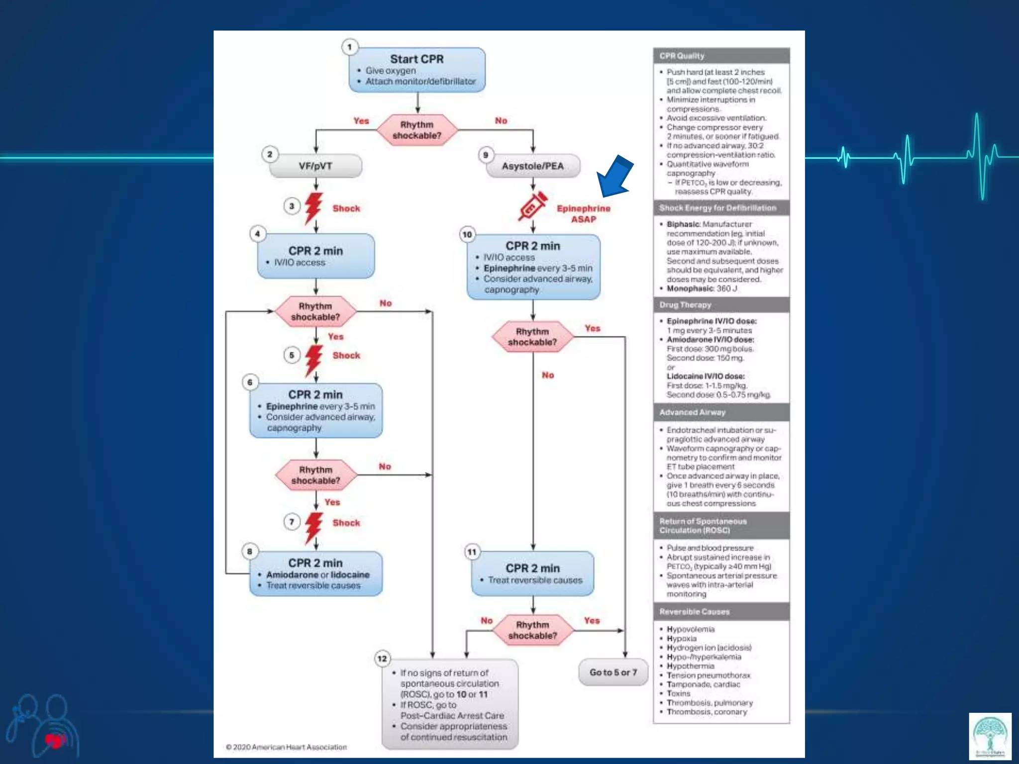 CPR , Basic Life Support 2020 | PPTX