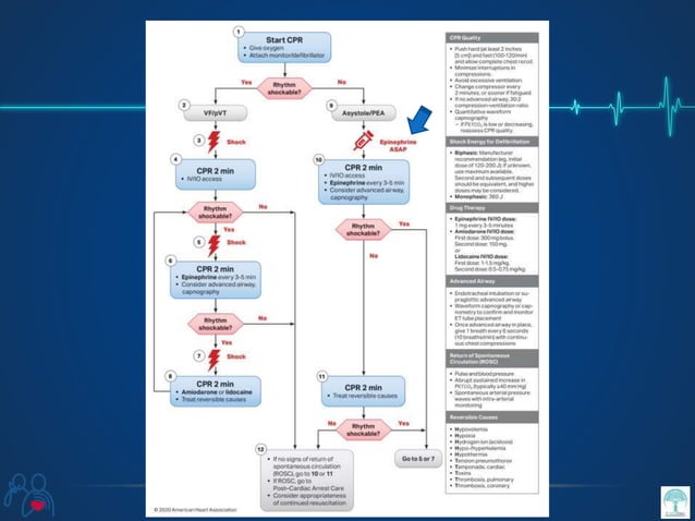 CPR , Basic Life Support 2020 | PPTX