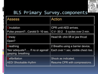 adult BLS 2022.pptx