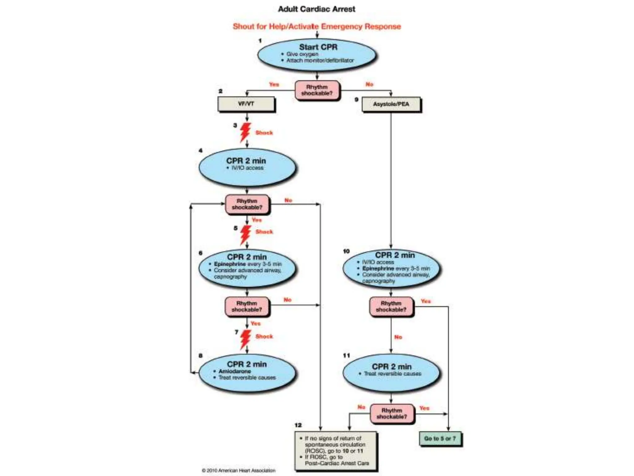 BLS and ACLS Basics of life support.pptx