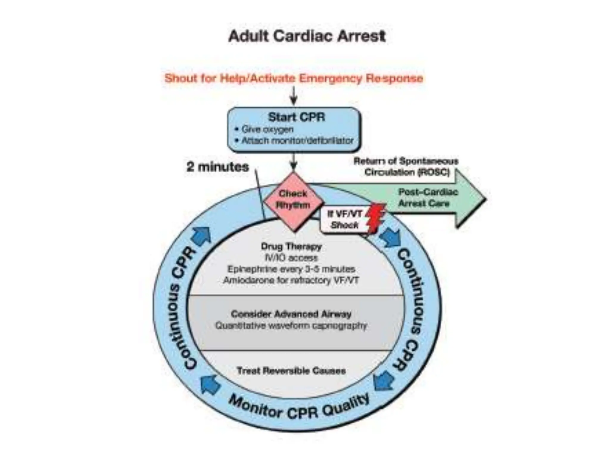 BLS and ACLS Basics of life support.pptx