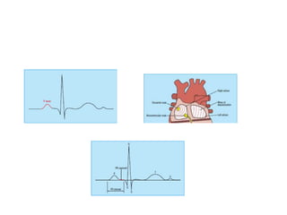 BLS and ACLS Basics of life support.pptx