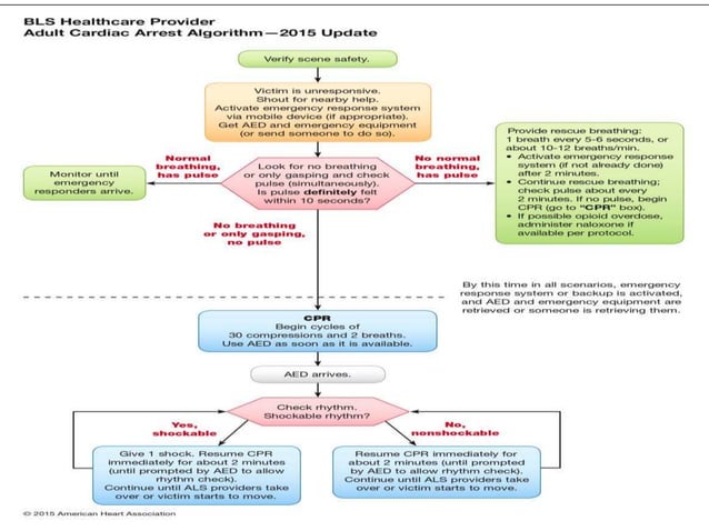 BLS(basic life support) & ACLS with PALS by Dr. Shailendra | PPTX ...