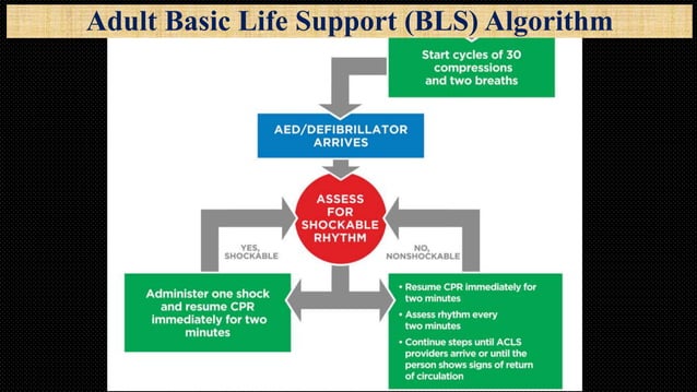 ADULT BASIC LIFE SUPPORT.pptx