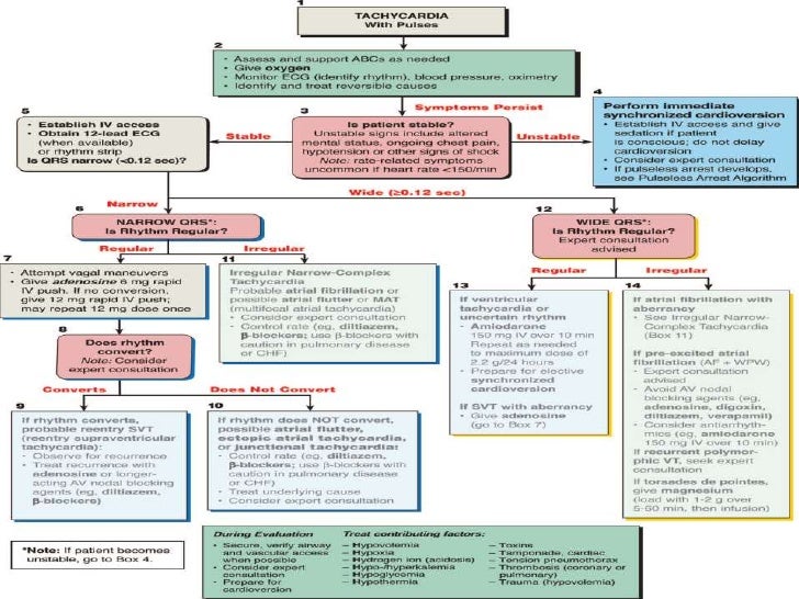 CPR GUIDELINES-2005