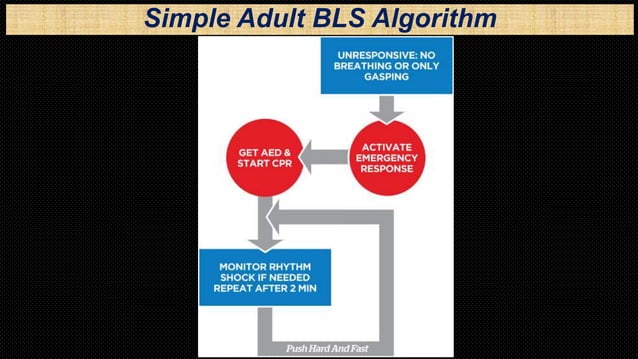 BLS CHILD.pptx | First Aid | Injuries