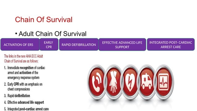Basic life support steps as per AHA FINAL.pptx