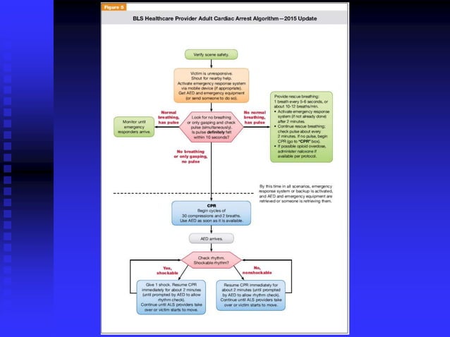 Bantuan Hidup Dasar (2015 AHA Guideline) | PPTX