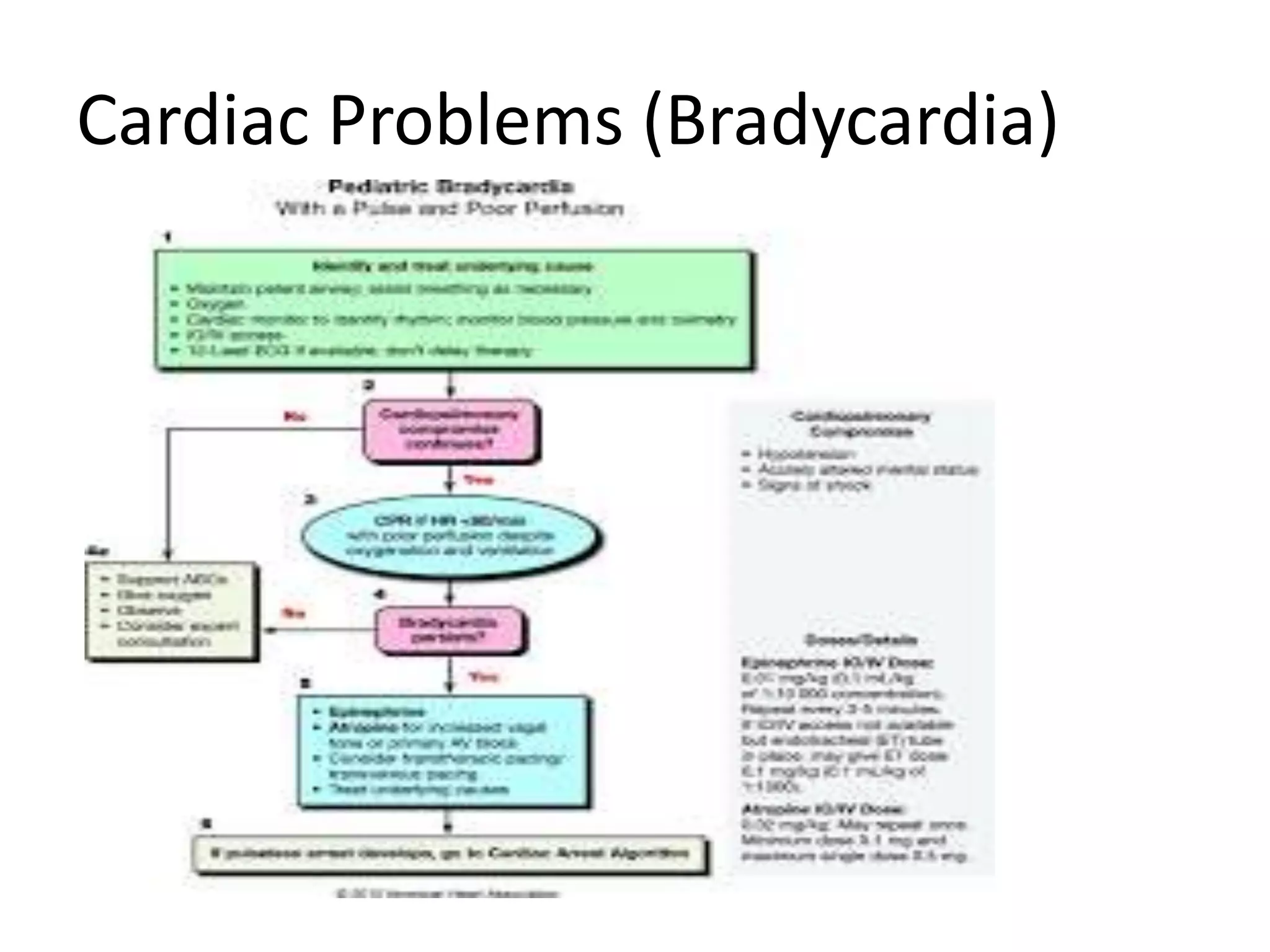 Pediatric Bls for nurses | PPTX