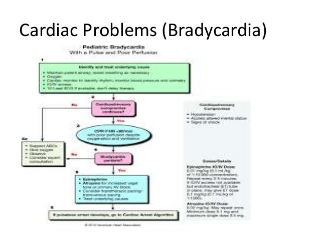 Pediatric Bls for nurses