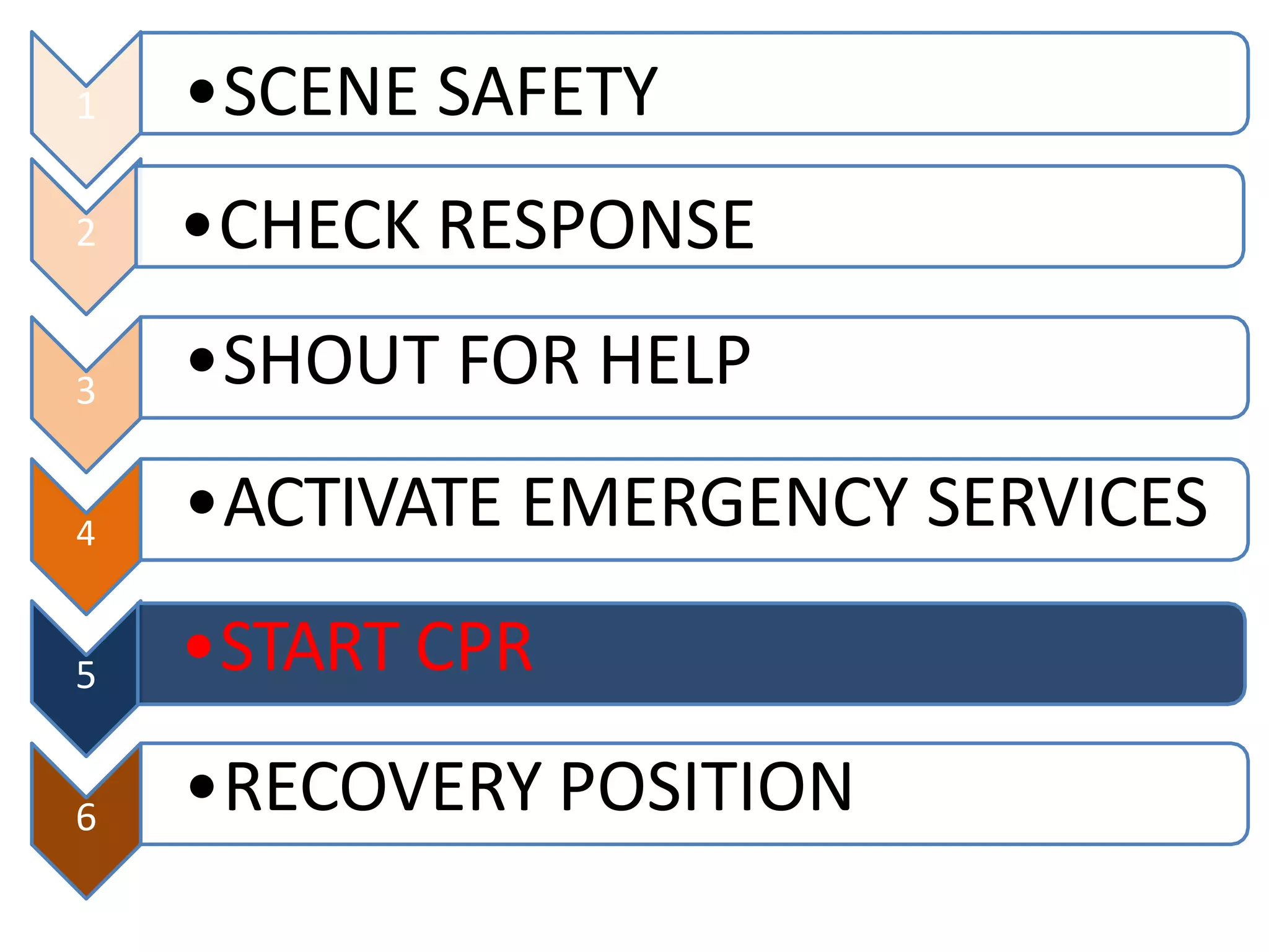 BLS INTRODUCTION.pptx