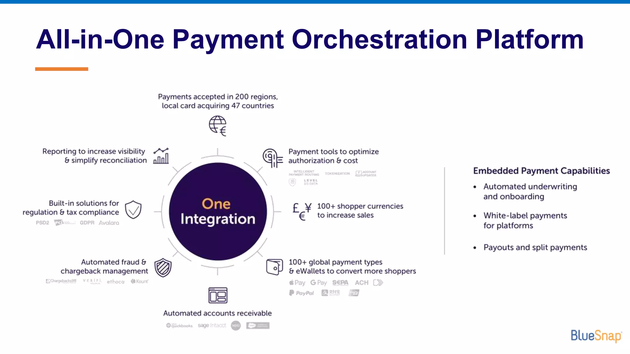 BlueSnap Company Overview | PPT