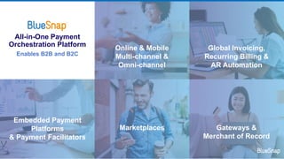 BlueSnap Company Overview | PPTX