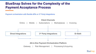 BlueSnap Company Overview | PPT