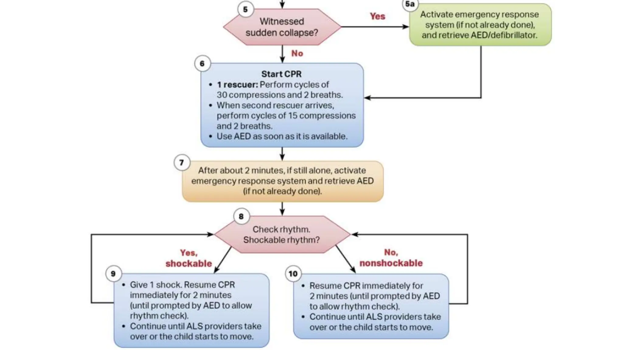 Basic Life Support AHA Pediatrics 2020 updates | PPTX