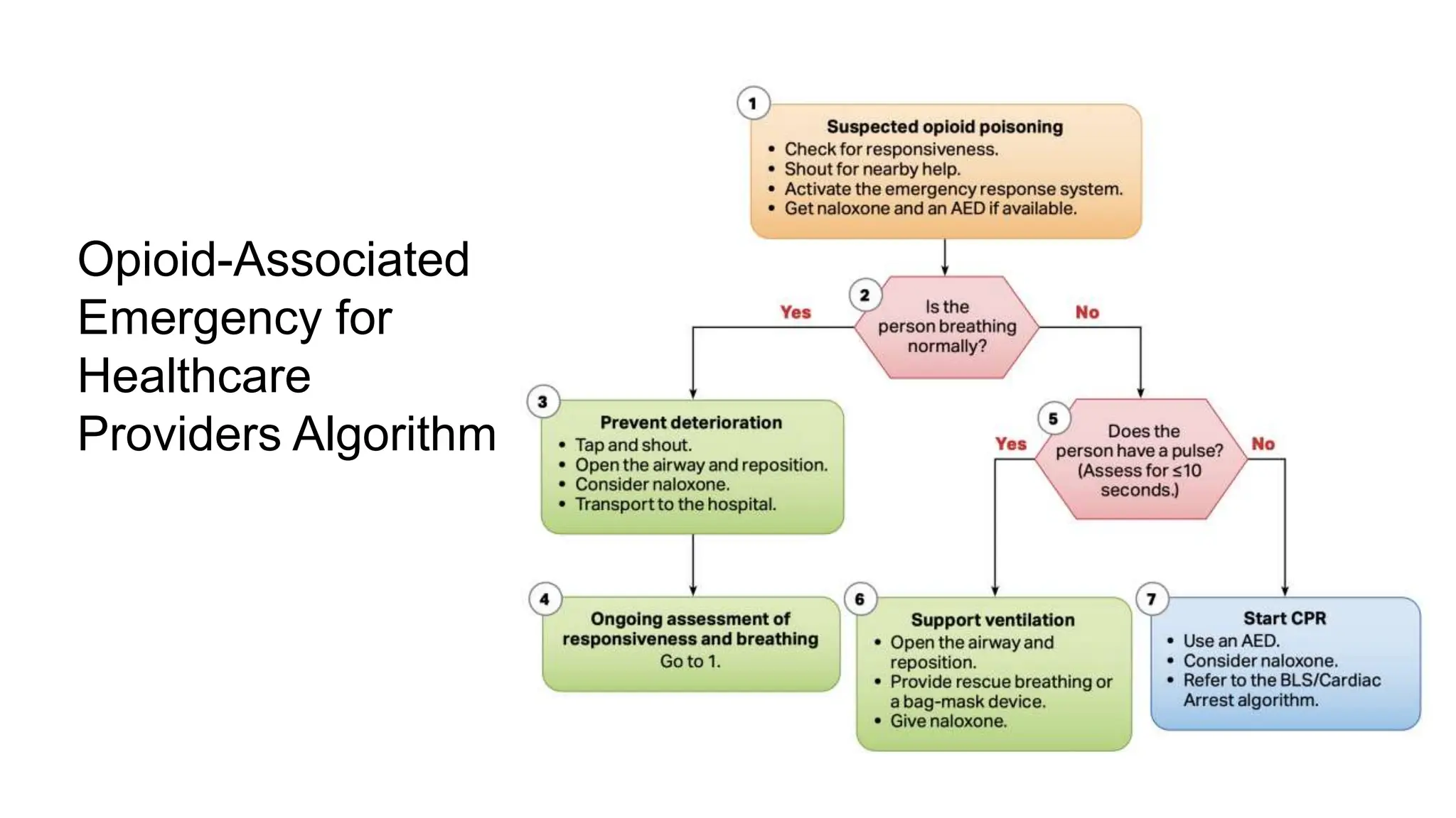 Basic Life Support AHA Pediatrics 2020 updates | PPTX