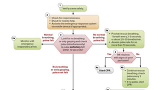 Basic Life Support AHA Pediatrics 2020 updates | PPTX