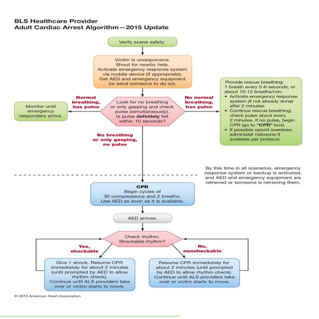 BLS for Under Graduates as per AHA guidelines | PDF | Free Download