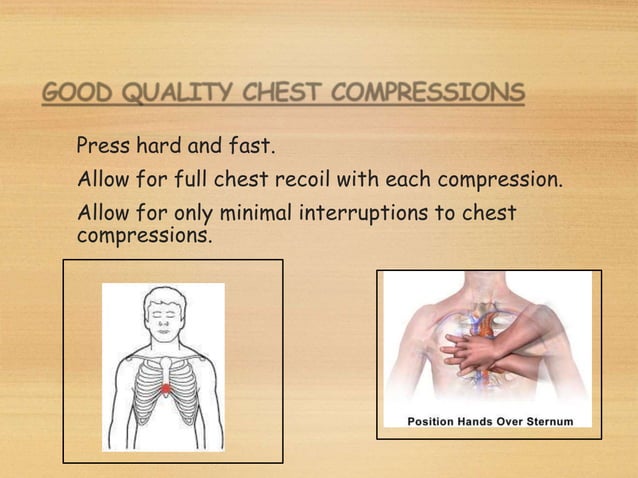 BLS PPT.pptx class ppt useful students And | PPT