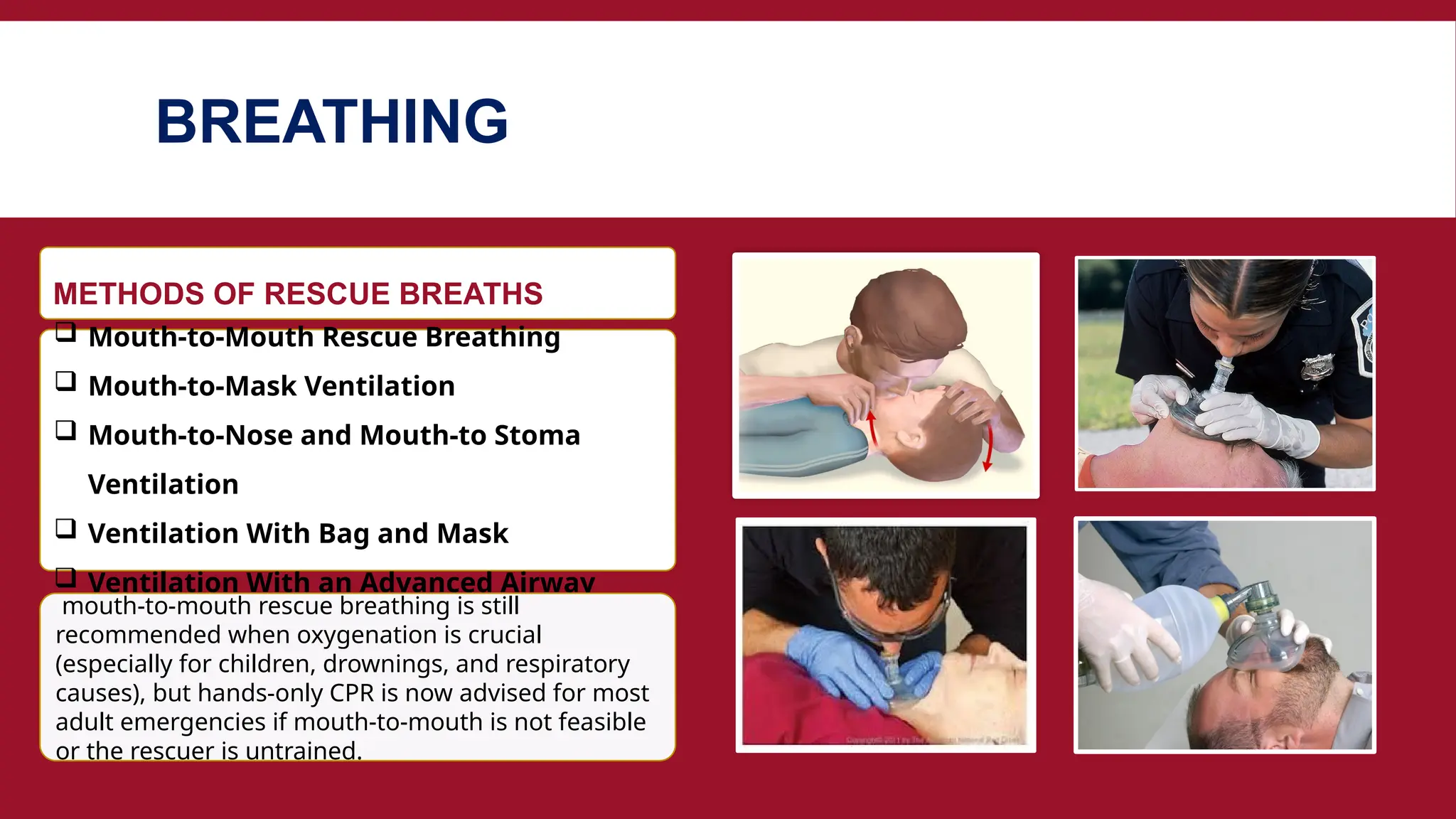 BLS ( Adult Basic Life Support ) 2025.pptx