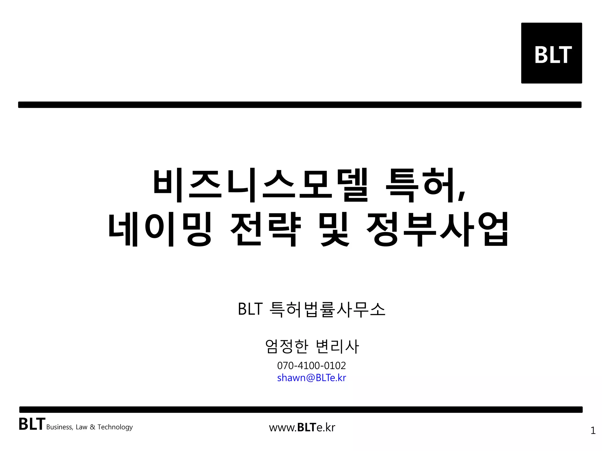 [BLT] 비즈니스모델 특허, 네이밍 전략, 정부사업 개괄 1.0 | PPT