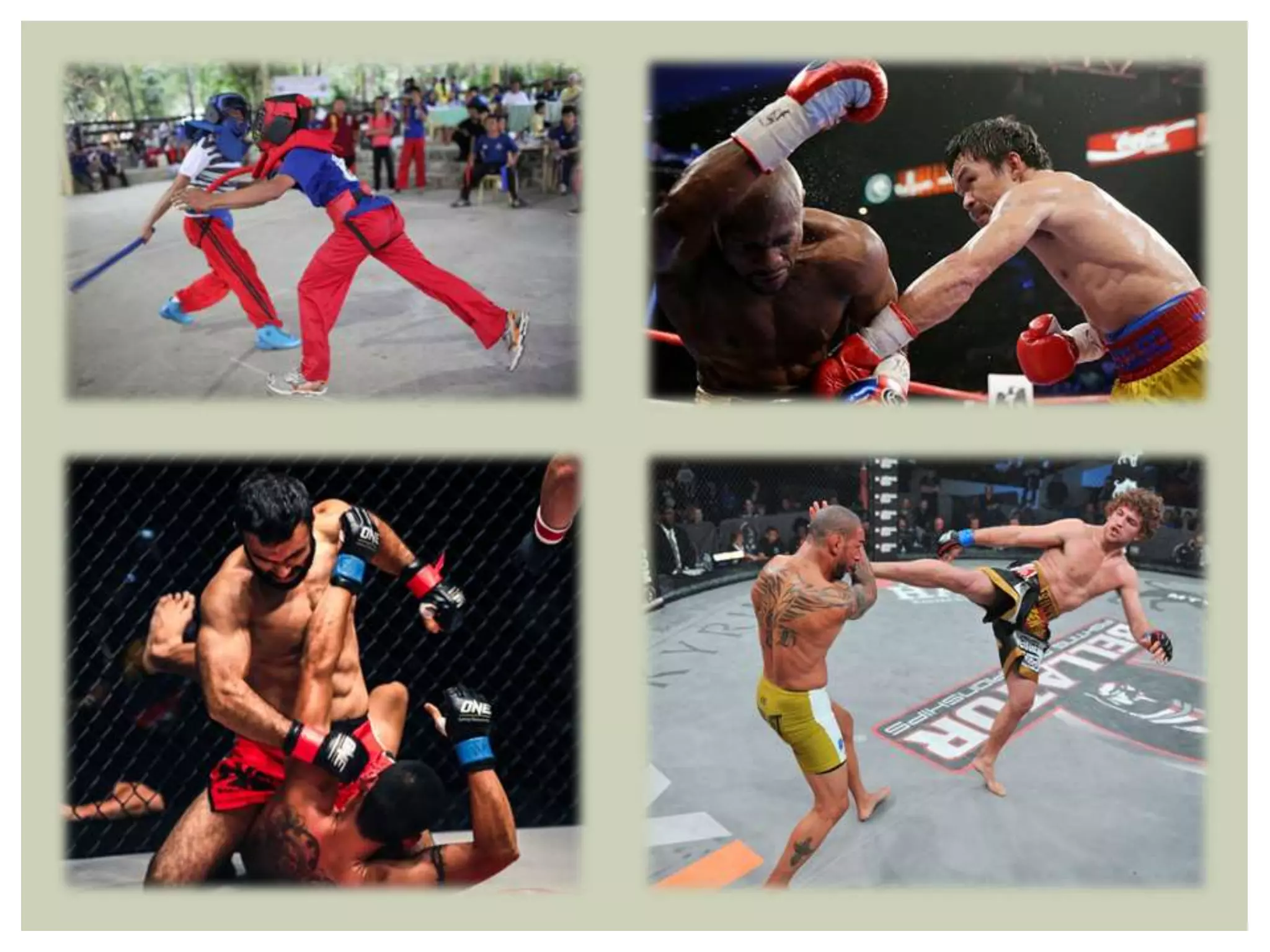 [Bltzr] Group 3 - Combat Sports | PPTX
