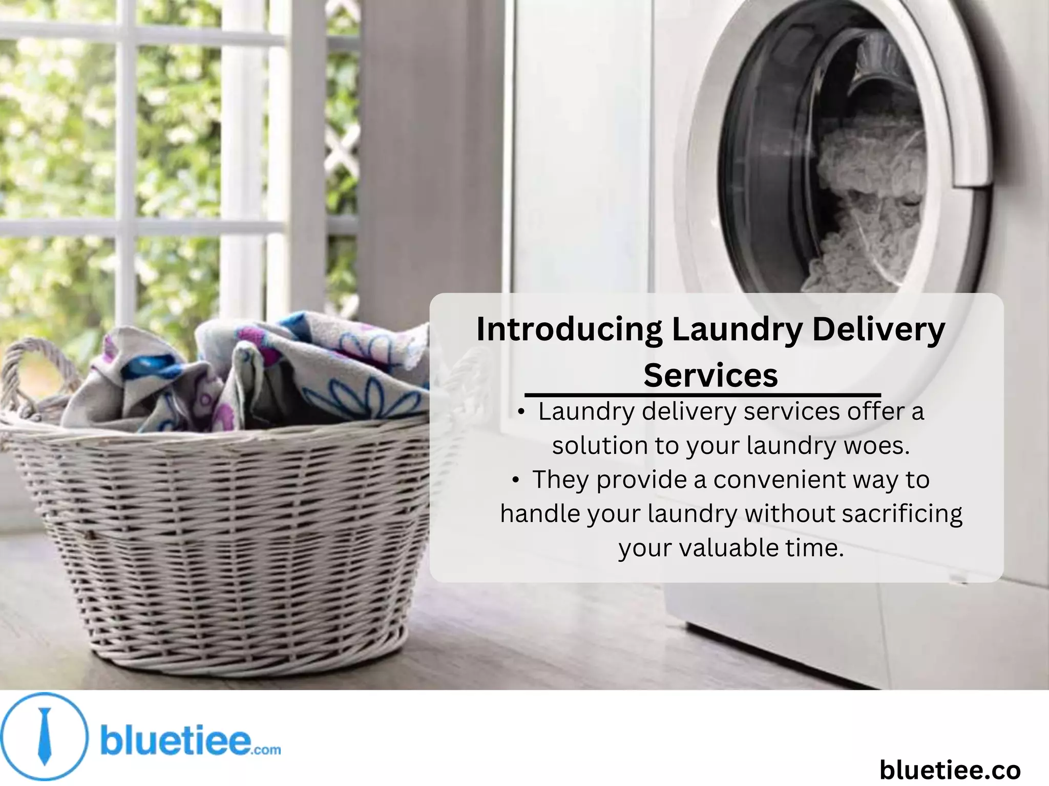 Laundry delivery service | PPTX