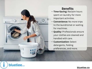 Laundry delivery service | PPTX