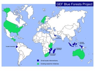 Blue Carbon+: Efforts to harness coastal and marine ecosystem values ...