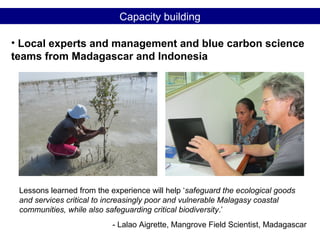 Blue Carbon+: Efforts to harness coastal and marine ecosystem values ...