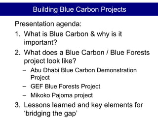 Blue Carbon+: Efforts to harness coastal and marine ecosystem values ...