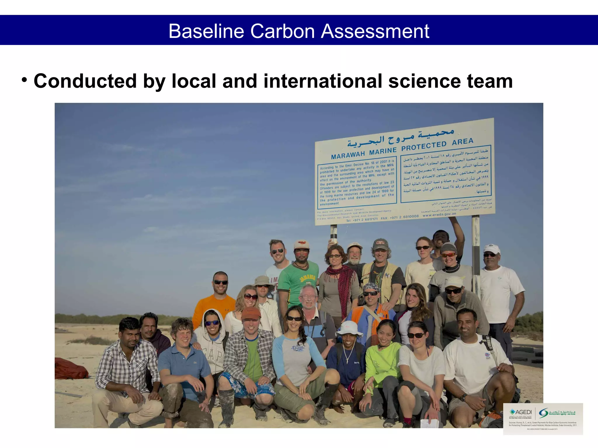 Blue Carbon+: Efforts to harness coastal and marine ecosystem values ...